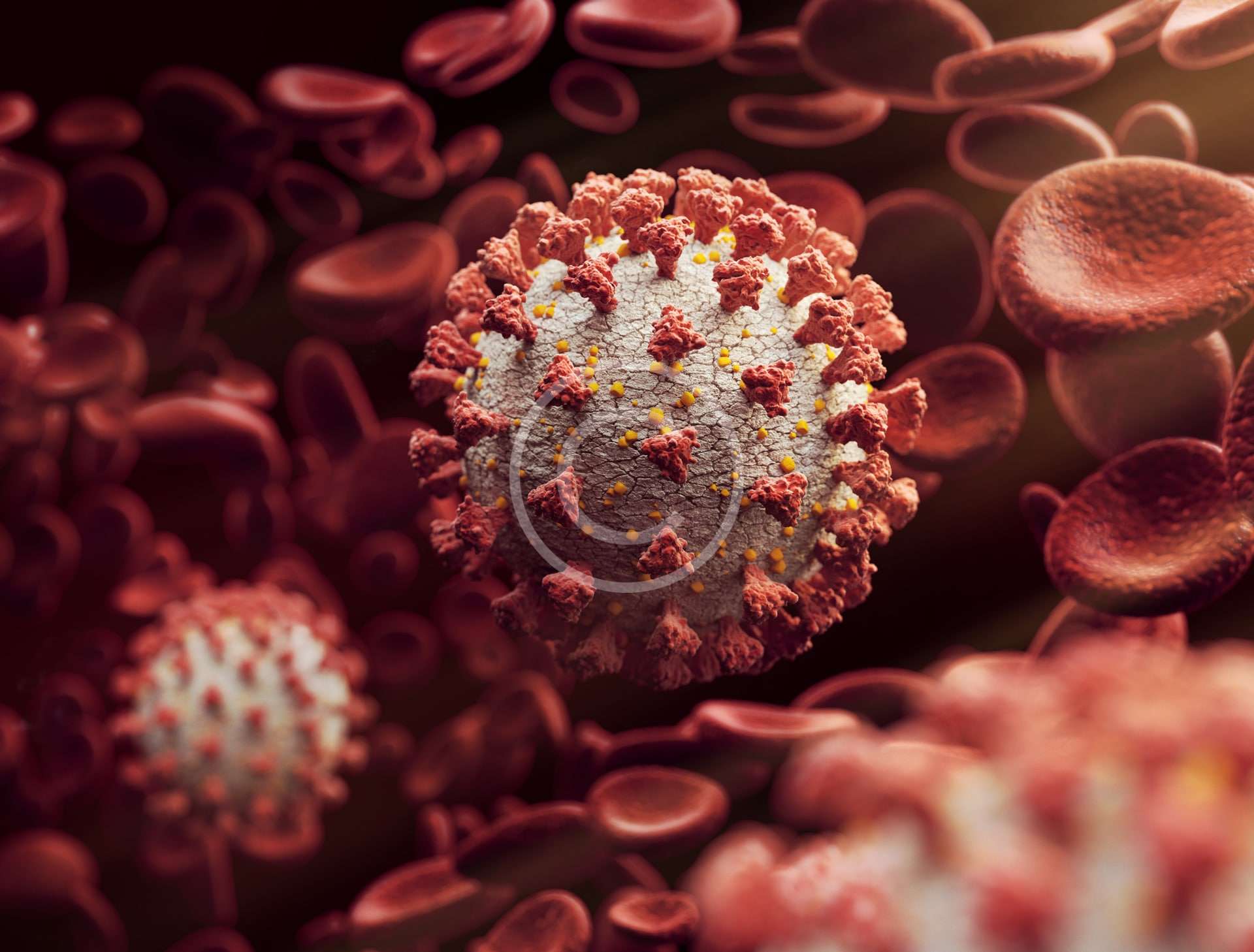 Comprehensive liver function test – LLCure Medical